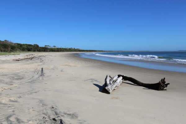 Coastal Gem & Hidden Delights in Iluka