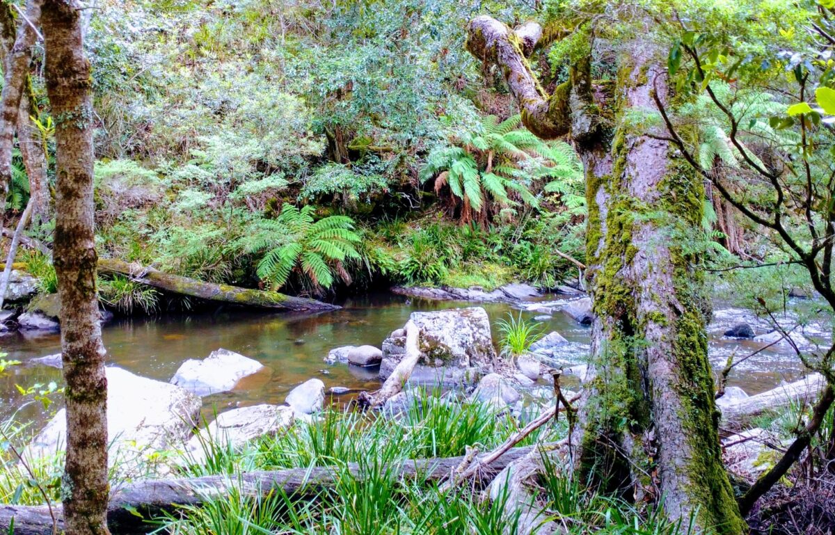 Australia's Breathtaking National Parks in the Hunter Valley and ...
